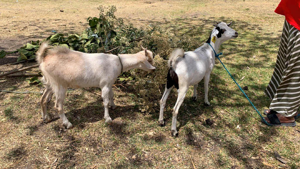 52 Sundays 2024 - Hawaii Pacific Baptist Convention